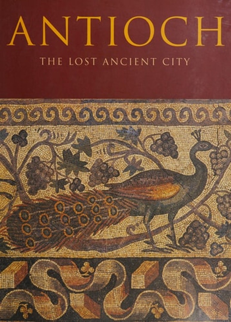 Antioch The Lost Ancient City tweedehands kopen | Books in Belgium